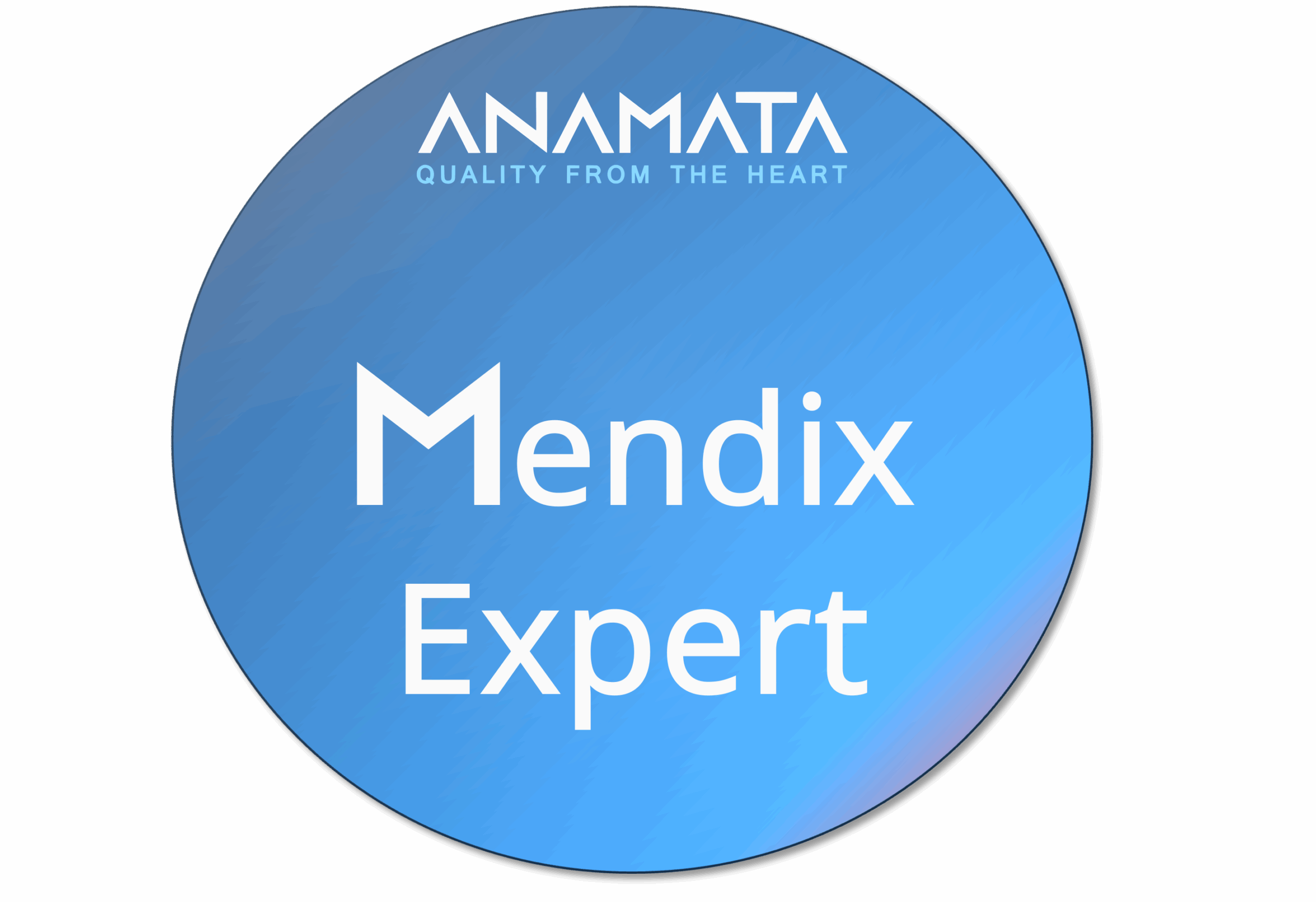Mendix Expert (NL) - Anamata